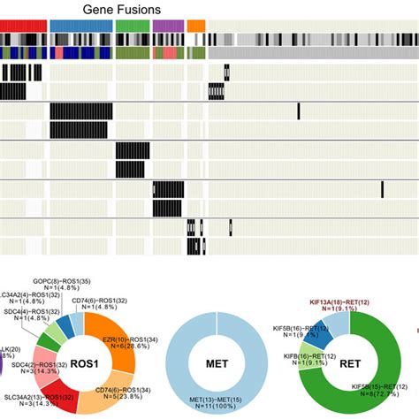Detection Of Gene Fusions Using Ultrafast Gene Fusion Assays A The Download Scientific