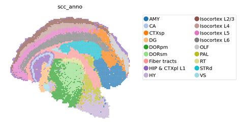 2 Combined Visualization Of Domains And Segmented Cells Spateo Documentation