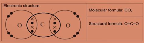 Carbon Oxygen Covalent Bond