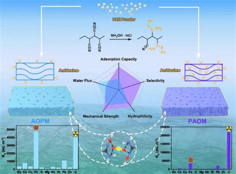 High Performance Polyamidoxime Porous Membrane Prepared By The In Situ