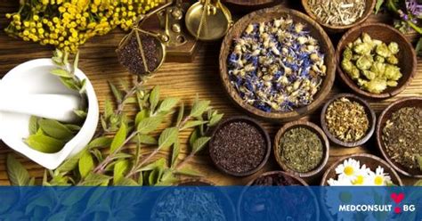 Подходящи билки за кашлица — Medconsult Bg