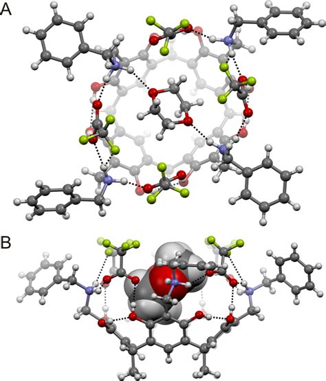 A Molecular Structures Of The 1 4‐dioxane 4 A Assembly With Hydrogen Download Scientific
