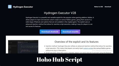 Hoho Hub Script Features Safety And Download Guide For Blox Fruits
