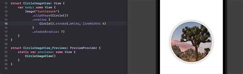 SwiftUI Image View 사용해보기 eunjoo