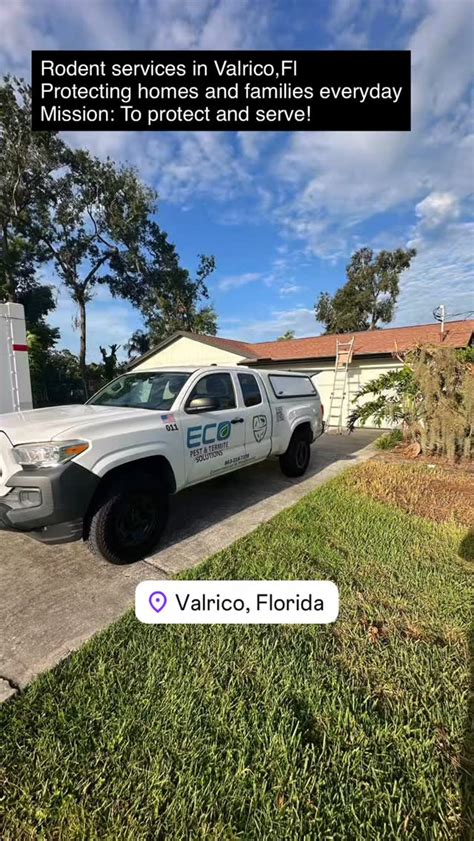 Eco Pest And Termite Solutions Riverview Fl