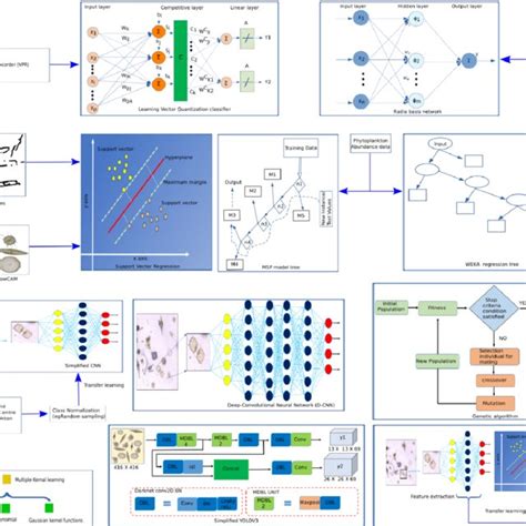 Use Of Ml Algorithms To Identify Predict And Classify Marine