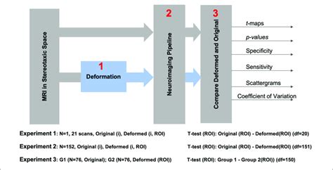 The Flowchart Of The Implemented Statistical Analyses Download Scientific Diagram