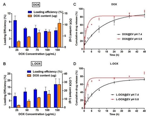 Drug Loading Efficiency And Release Kinetics Of The Hadsc Extracellular Download Scientific