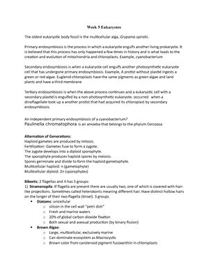 Fungi Lab Notes Bio Studocu