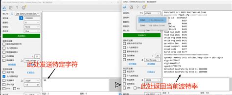 Bl618开发板烧录问题求助 Verimake