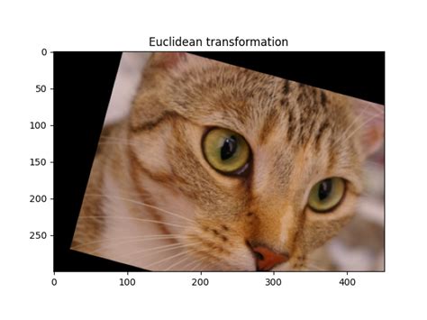 Geometrical Transformations Of Images Skimage Documentation