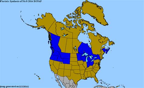 2013 Bonap North American Plant Atlas Taxonmaps