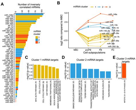 Global Mirna Expression Analysis Identifies Novel Key Regulators Of Plasma Cell Differentiation