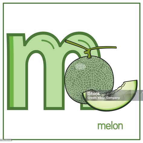 어린이 학습 연습 Abc에 대한 알파벳 문자 M 소문자 M 소문자와 멜론의 벡터 일러스트 멜론에 대한 스톡 벡터 아트 및 기타