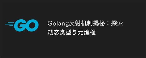 Golang反射机制揭秘：探索动态类型与元编程 叮当号