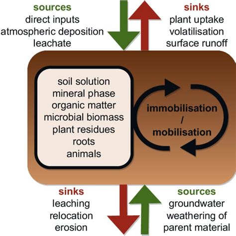 To Psoil With Examples Of Sources And Sinks Of Elements As Well As Soil