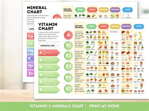 Vitamins And Minerals Chart Bundle Healthy Eating Reference Guide