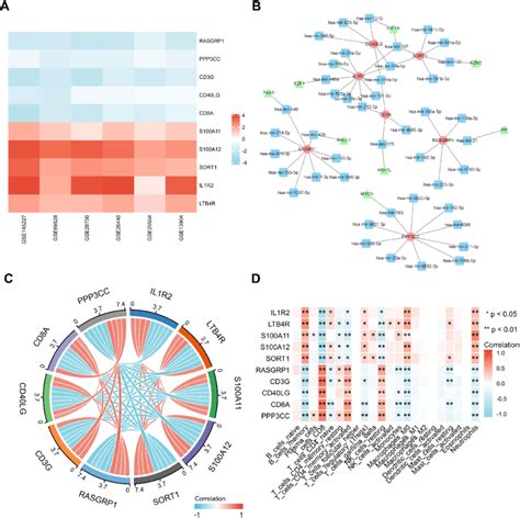 Expression And Correlation Analysis Of 10 Key Genes A Expression Of
