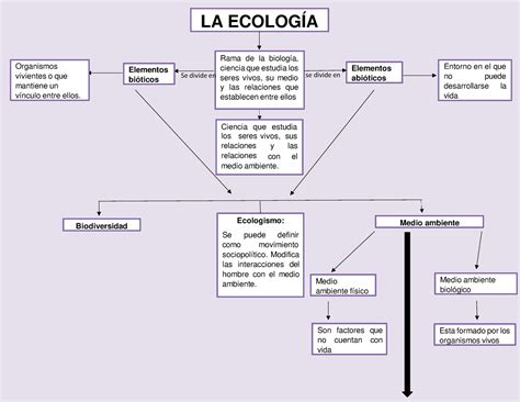 Mapa Conceptual De La Ecologia 3 Se Divide En La EcologÍa Rama De La