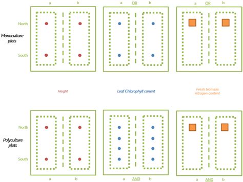 Schematic Overview Of Individual Plots And The Approximated Location At