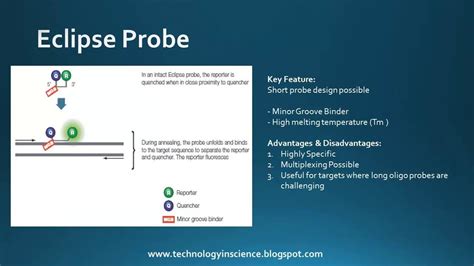 Fluorescent Primer Probe Chemistries Real Time Pcr Qpcr Assay
