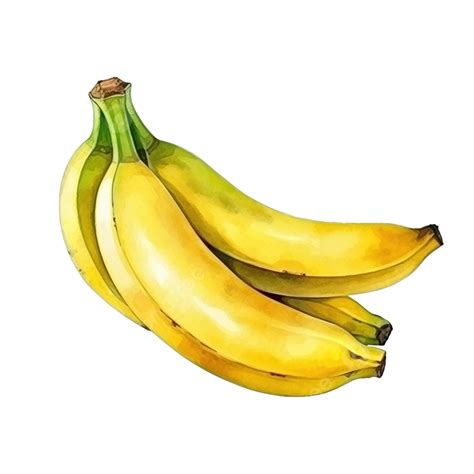 Banana Watercolor Art At Samantha Hanlon Blog