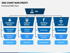 Org Chart Non Profit PowerPoint And Google Slides Template PPT Slides