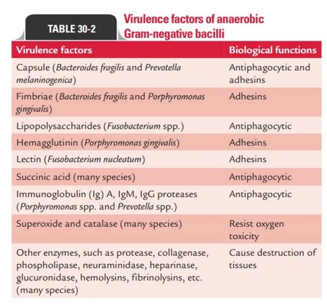Gram Negative Bacilli