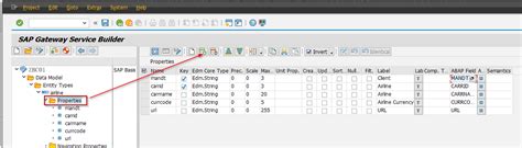 从头开始创建一个odata Sap Gateway Servicesap Segw Csdn博客
