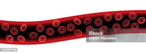 Eritrosit Dalam Pembuluh Darah Ilustrasi Stok Unduh Gambar Sekarang