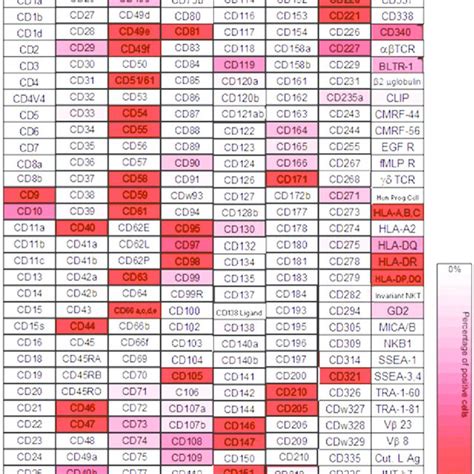 Heat Map Of Cell Surface Marker Expression By Insulinoma Cell Line Cm Download Scientific