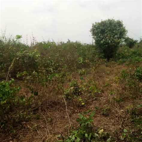 Lands And Property For Sale In Ogun State Properties Nigeria