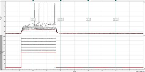 Patch Clamp Data Analysis In Clampfit Export The Traces Spikes And