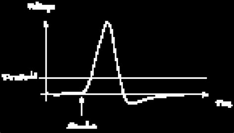 my failed attempt at agi on the tokio runtime christo sh