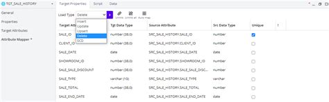 Working With Snowflake Target Instance Transform