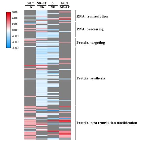 Transcript Profiles Of Rna And Protein Synthesis Genes In Different