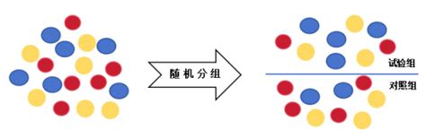 干货来了！lancet杂志的临床试验论文，随机化分组如何开展？ 论文中随机分组方法怎么描述 csdn博客