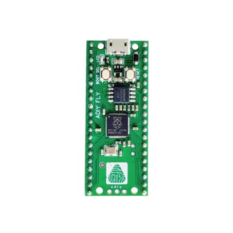 Buy FLY PICO RP Development Board With Header MB Flash Online In India At HUBTRONICS In
