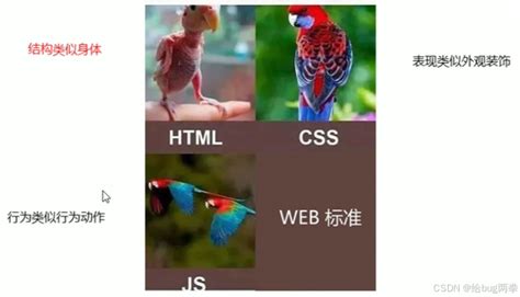 HTML/CSS/JS学习笔记 Day1（HTML--C1 工具&语法规范）-CSDN博客