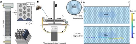 Hydrodynamic Pillar Array Experiment With Active Polymer Like Worms Download Scientific