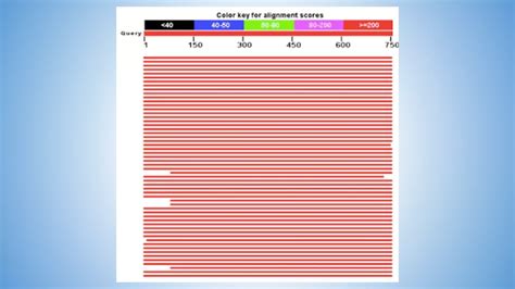 Protein Sequence Analysis Pptx