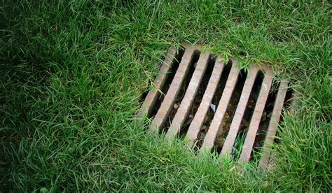 How To Improve Lawn Drainage Before Installing Sod