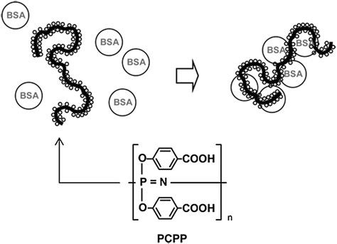 Preparation Of Polyphosphazenes A Tutorial Review Chemical Society