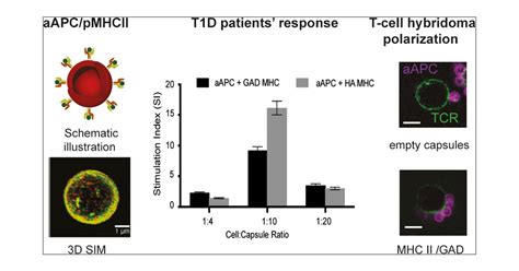 Antigen Presenting Cell Types