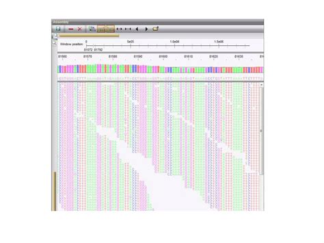 Ngs In Illumina Platform Pptx Biotech And Biomedical Industry Industries