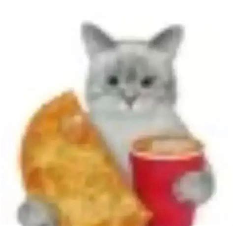 Пин от пользователя Sex Haver на доске Hi Смешные котята Милые котики Смешные фотографии