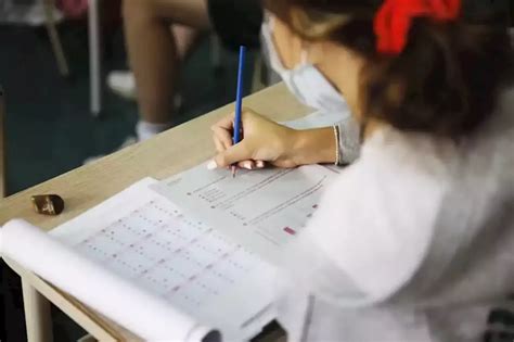 Pruebas Aprender 2021 Los Alumnos Mostraron Un Deterioro Significativo