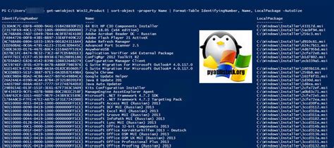 Как узнать Guid приложения за минуту Настройка серверов Windows и Linux