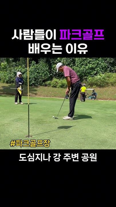 사람들이 파크골프 배우는 이유 파크골프가 뭔데 골프팁 파크골프 프로메이드파크골프 Youtube