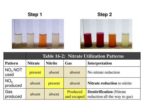 Nitrate Reduction Test